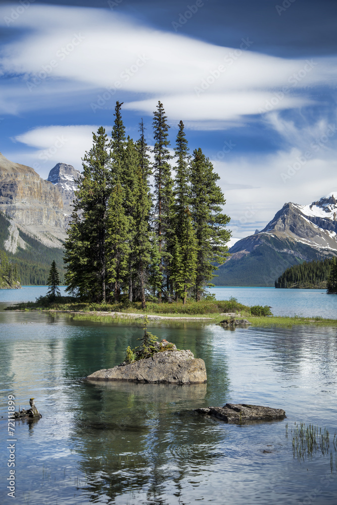 Portrait Of Spirit Island wall mural wallpaper | Muraledesign.com