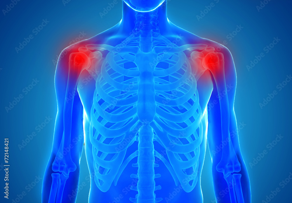 anatomy of human shoulder joints - injury concept Stock Illustration ...