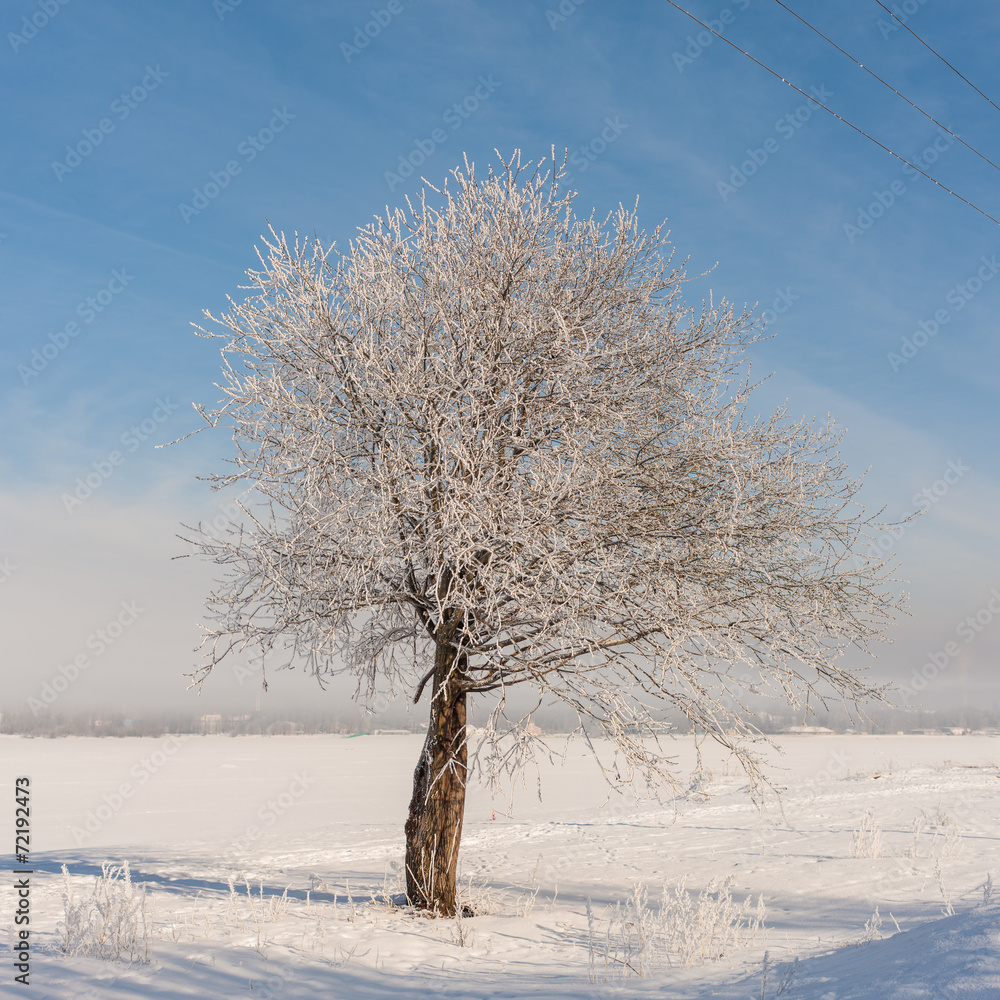 cold winter day Stock Photo | Adobe Stock