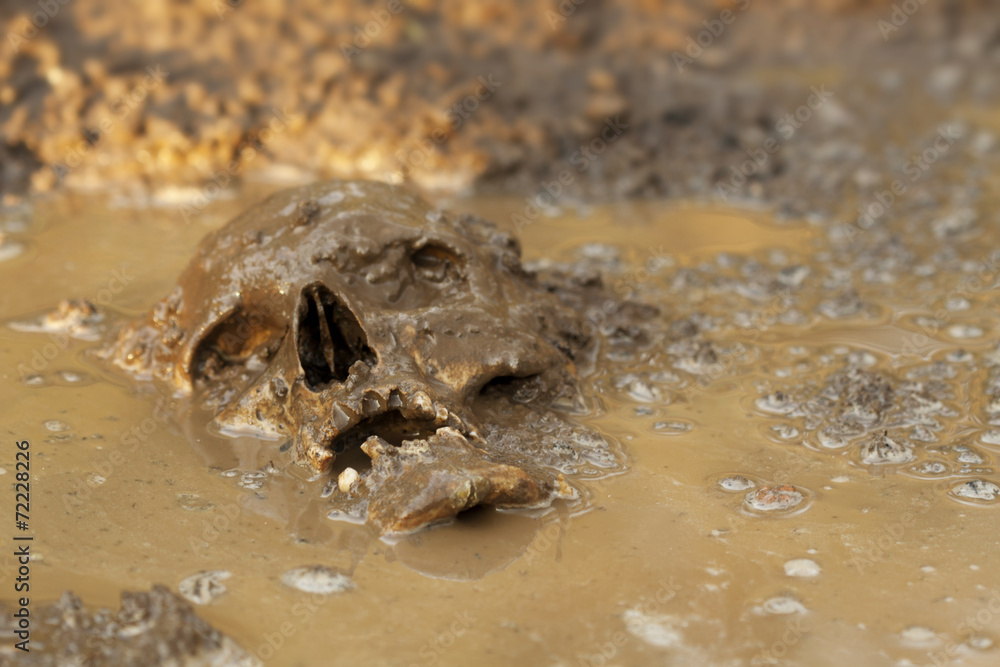 Genuine human skull figured as crime scene, very narrow focus Stock ...