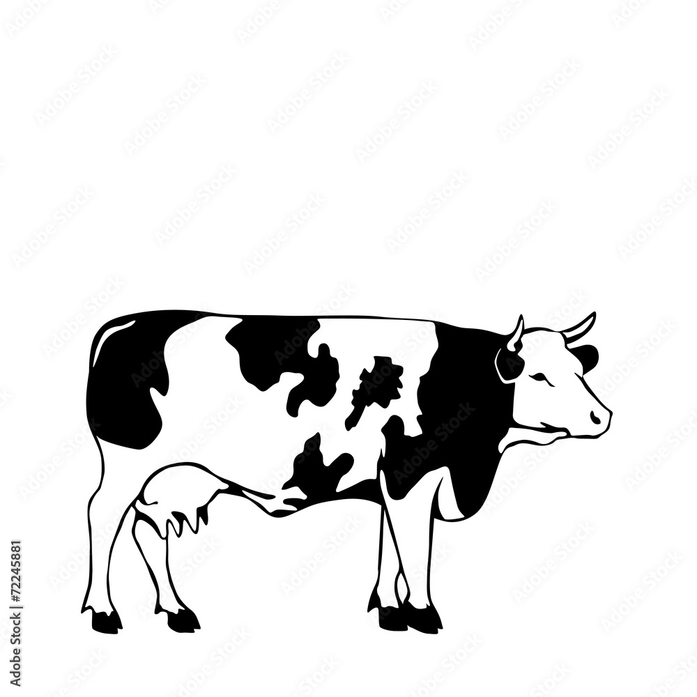 black and white cow vector illustrator Stock Vector | Adobe Stock