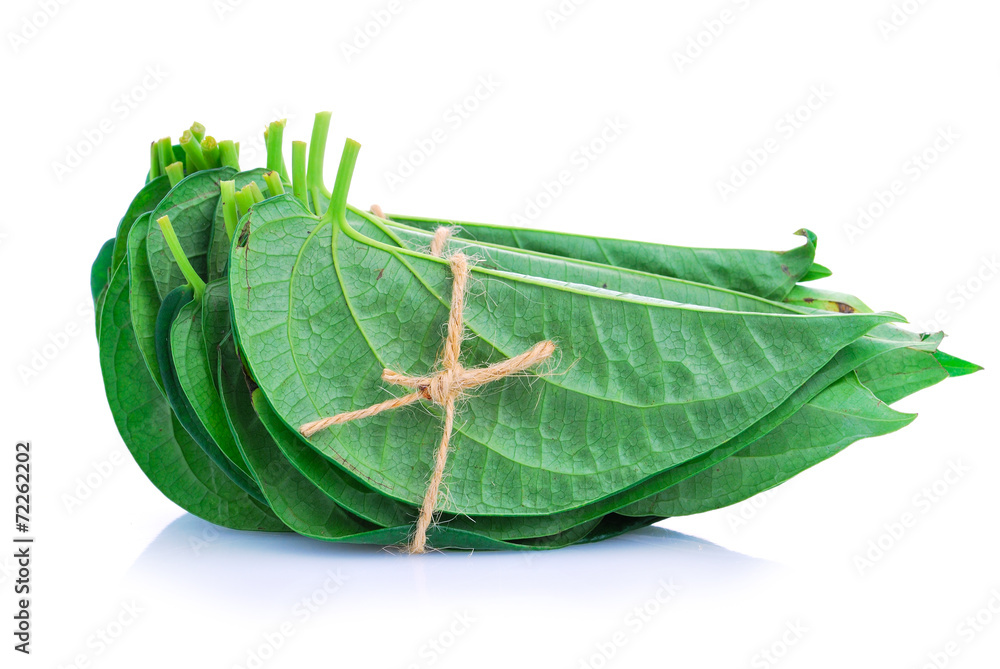 Betel leaf edible eating culture of Asia Stock Photo | Adobe Stock