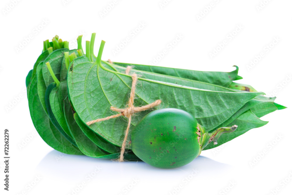 Betel leaf edible eating culture of Asia Stock Photo | Adobe Stock