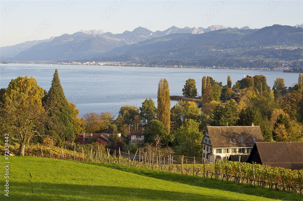 Halbinsel Au mit Blick über Zürichsee Stock-Foto | Adobe Stock