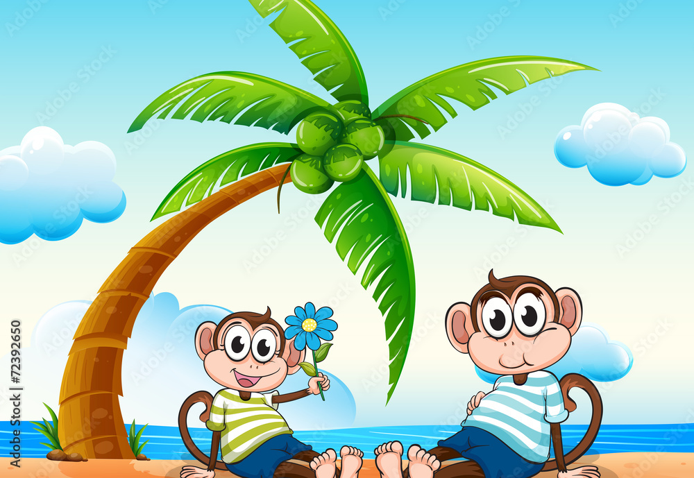 Monkeys and beach Stock Vector | Adobe Stock