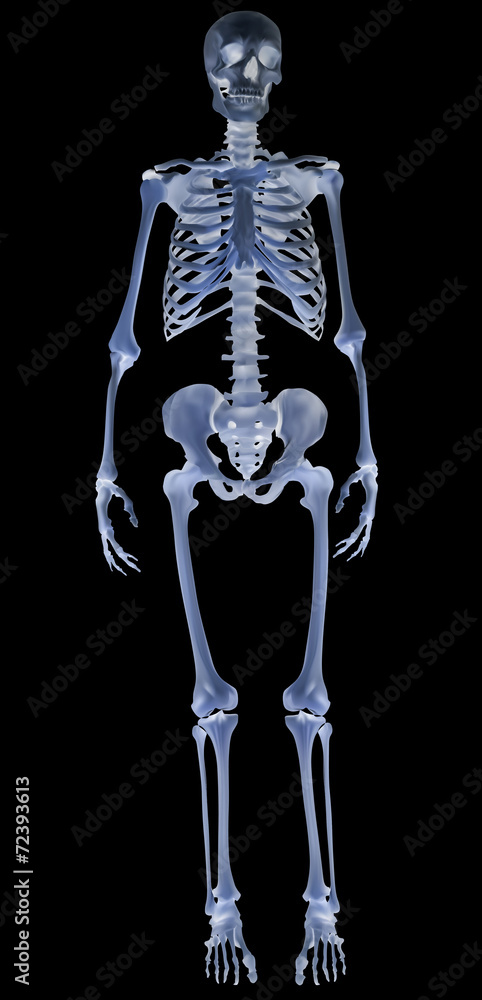 blue human skeleton on black illustration Stock Vector | Adobe Stock