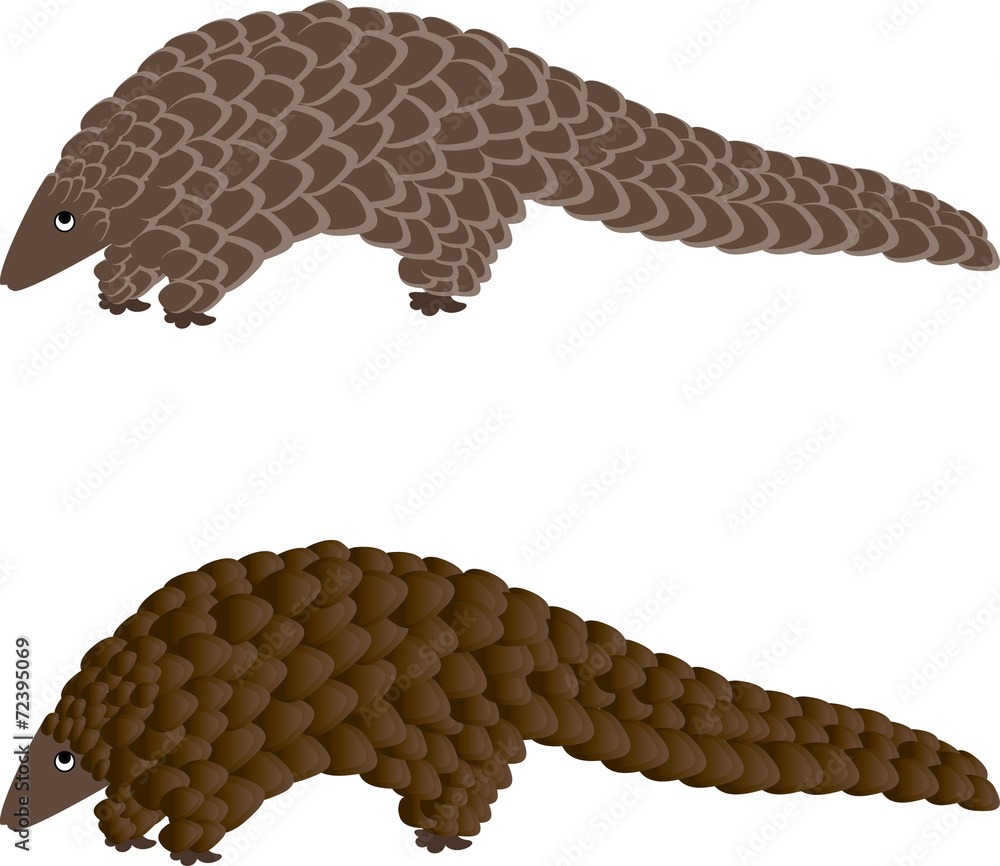 Cartoon Vector Illustration of Funny Pangolin Animal Stock Vector ...