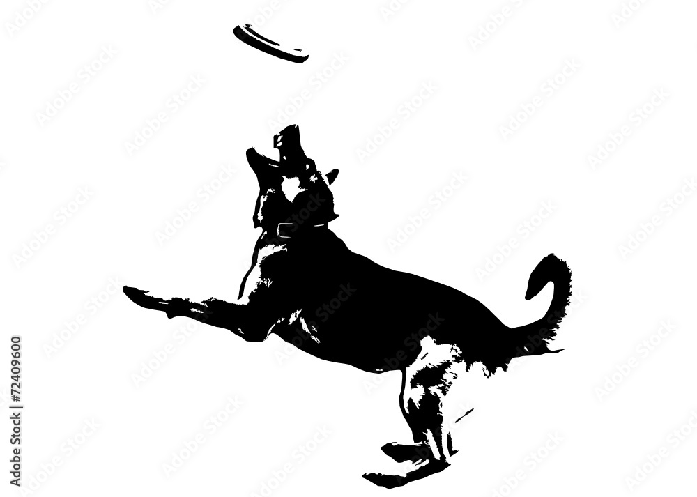 Dog - frisbee Stock Vector | Adobe Stock