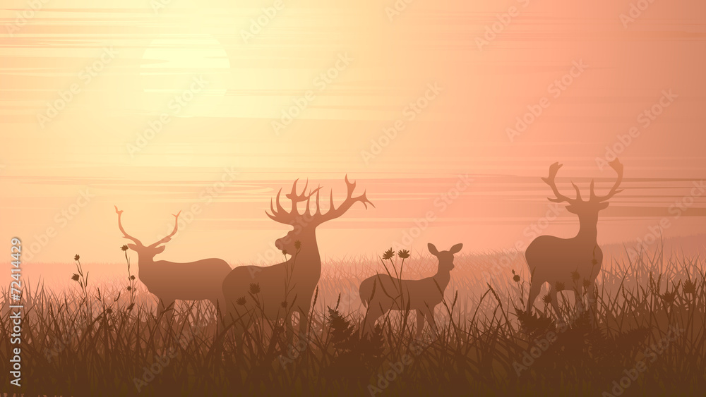 Horizontal illustration of wild animals on meadow. vector de Stock ...