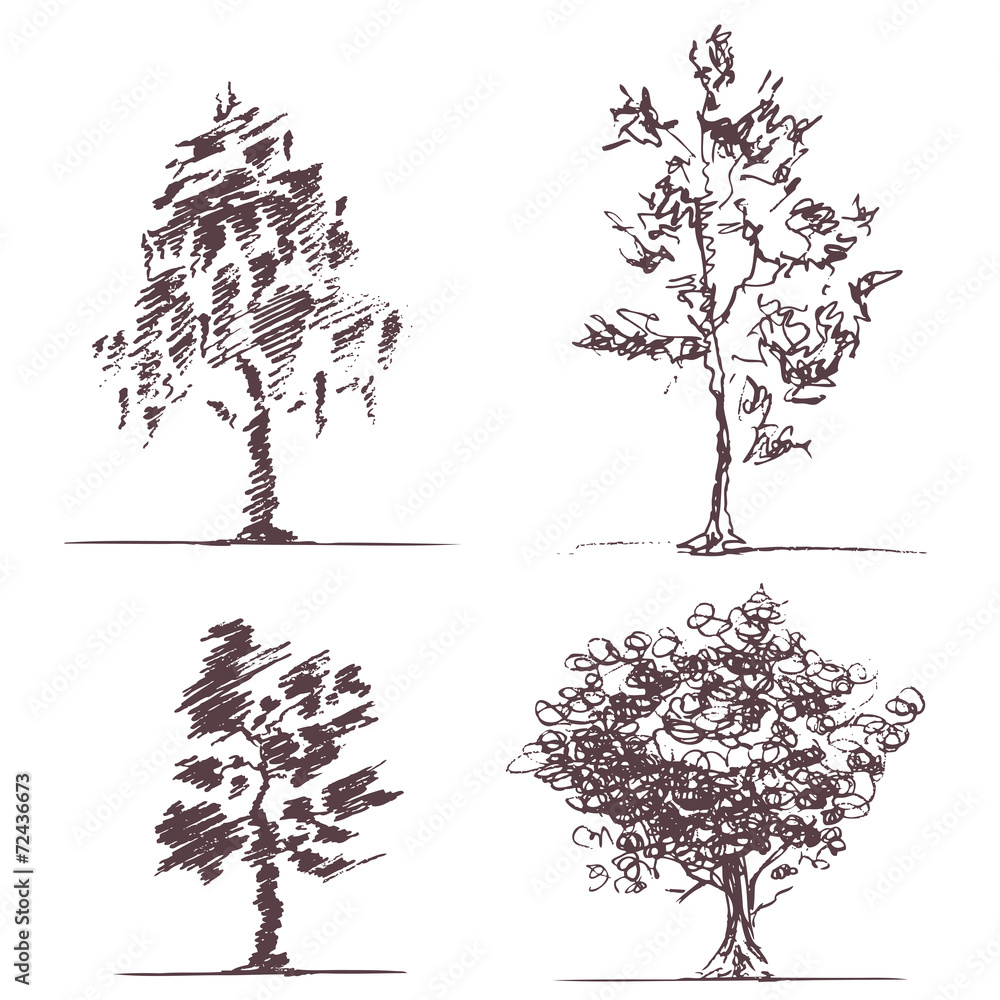 Set of four sketches trees Stock Vector | Adobe Stock