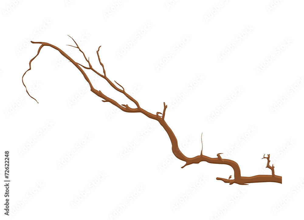 Tree Branch Stock Vector | Adobe Stock