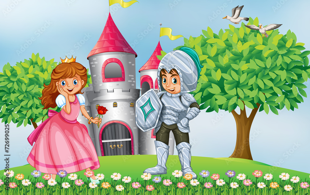 Princess and knight Stock Vector | Adobe Stock