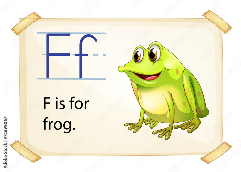 Frog flashcard Stock Vector | Adobe Stock