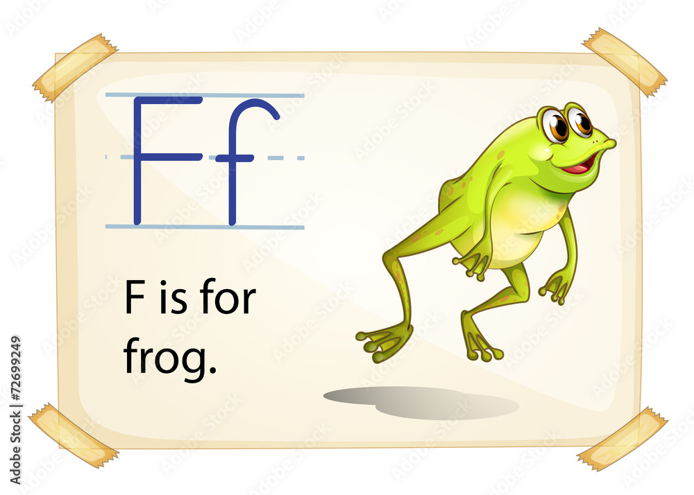 Frog flashcard Stock Vector | Adobe Stock
