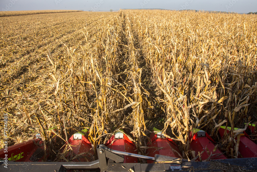 Field works Stock Photo | Adobe Stock