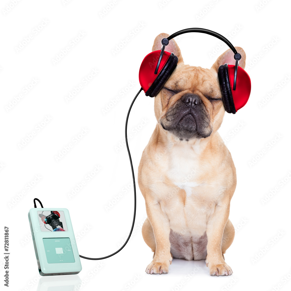 dog music Stock Photo | Adobe Stock
