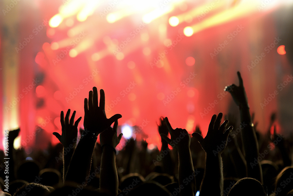 Concert Silhouette Hands