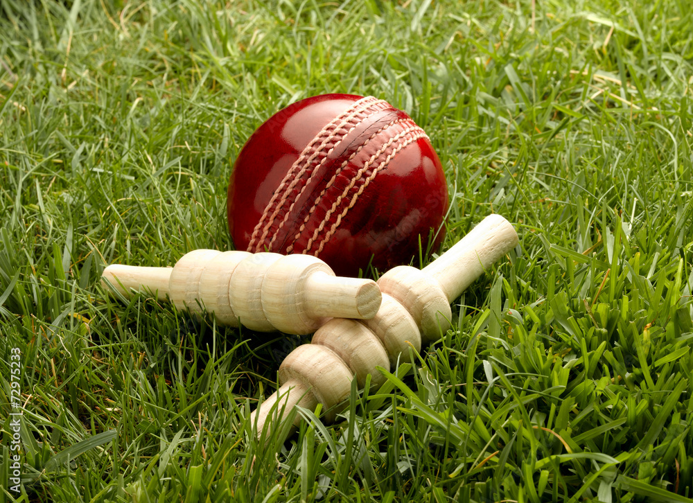 Cricket Ball Stock Photo | Adobe Stock