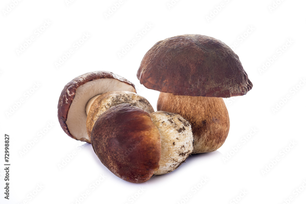 Boletus edulis, hongos frescos aislados sobre fondo blanco Stock Photo ...