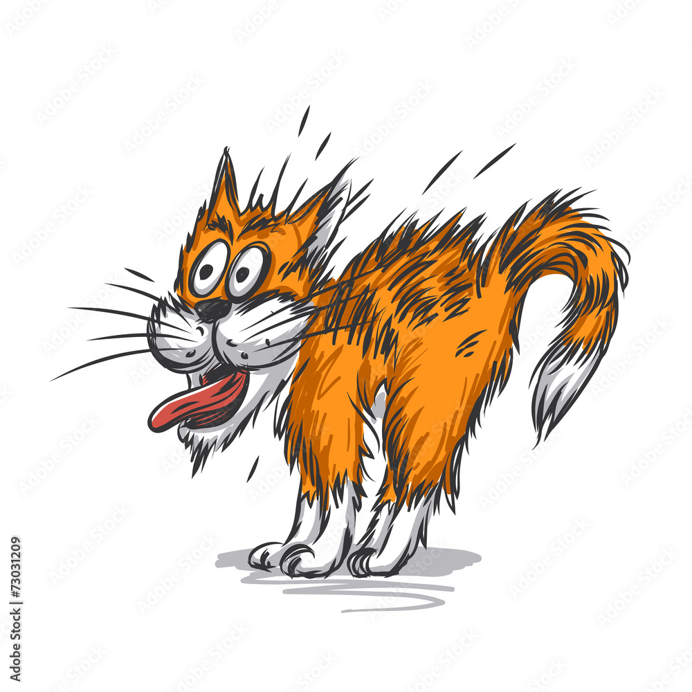 Vector sketch of scared cat Stock Illustration | Adobe Stock