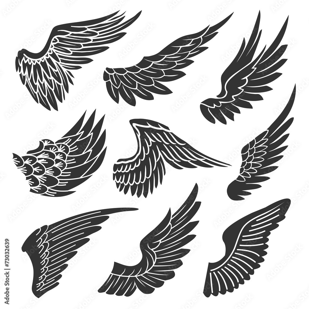 Wings Silhouette Stock Vector | Adobe Stock
