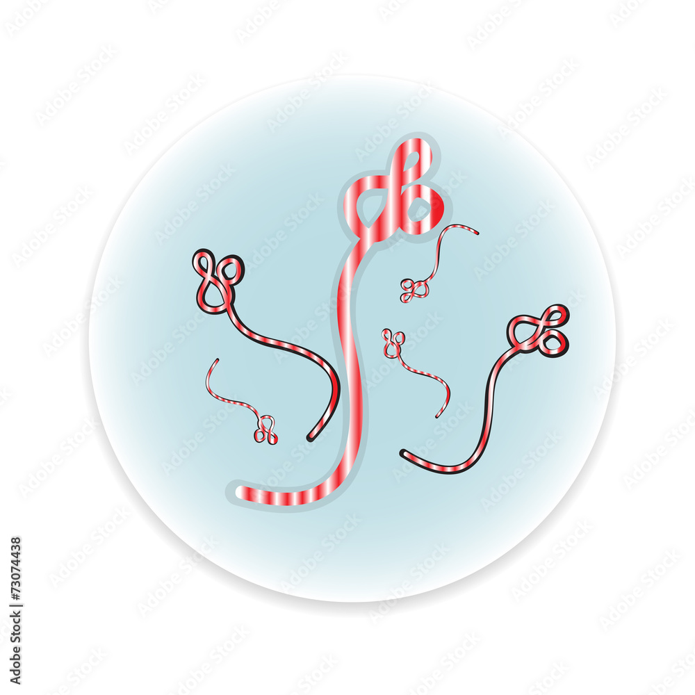 Ebola virus disease under the microscope. vector illustration Stock ...