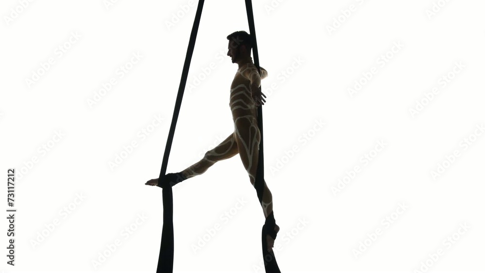 Man dancer on aerial silk, aerial contortion, aerial ribbons, Stock ...