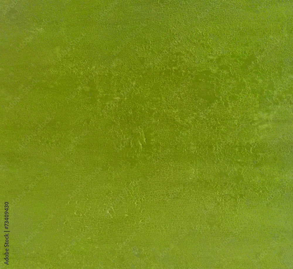 green background Stock Photo | Adobe Stock