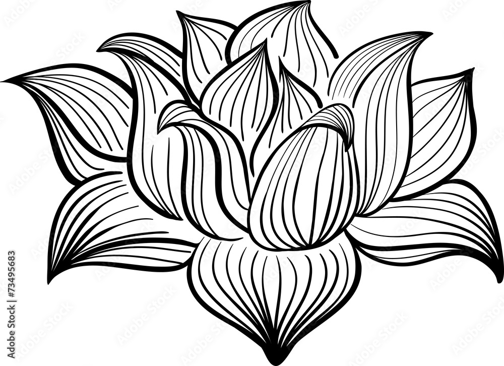 Vector Black and White Lotus flower Stock Vector | Adobe Stock