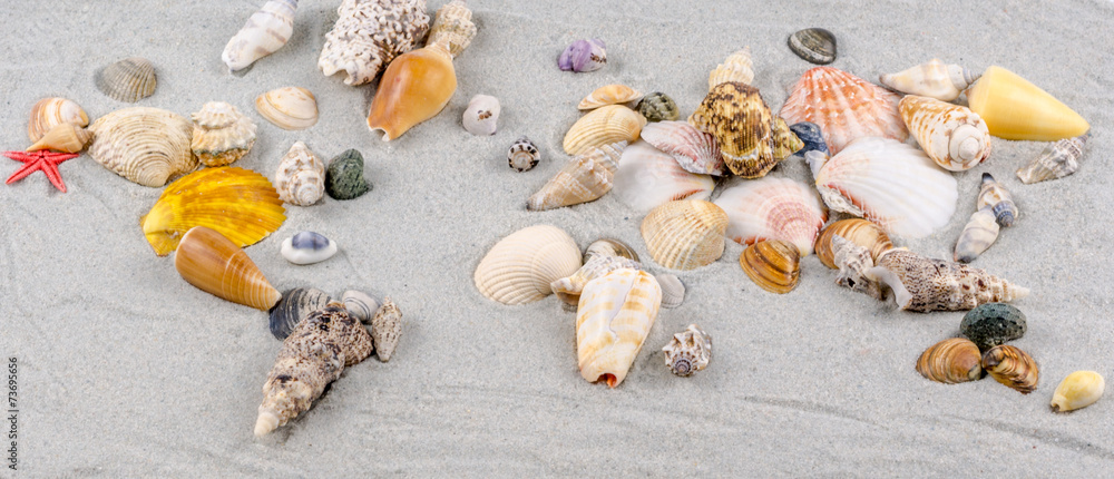map of the world made of shells on sand Stock Photo | Adobe Stock