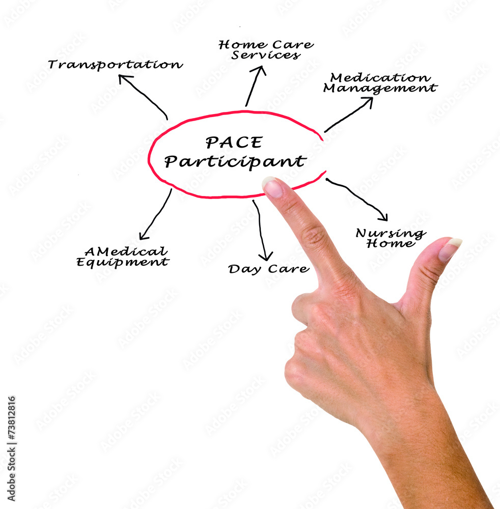 Diagram of PACE Stock Illustration | Adobe Stock