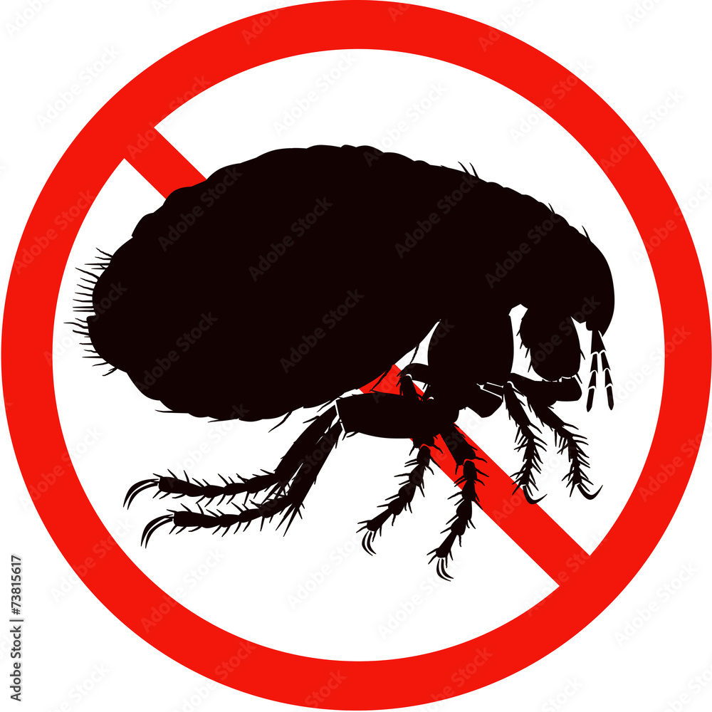 dangerous insect road signs Stock Vector | Adobe Stock