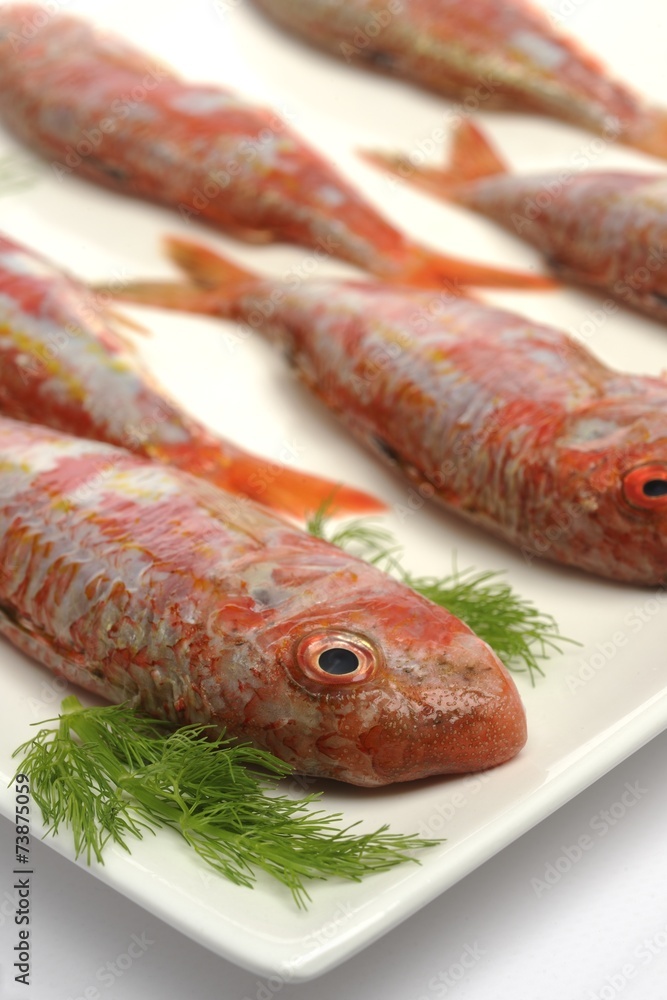 Mullet Stock Photo | Adobe Stock