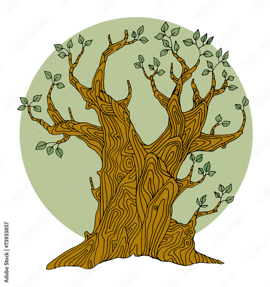 Hand drawing tree Stock Vector | Adobe Stock