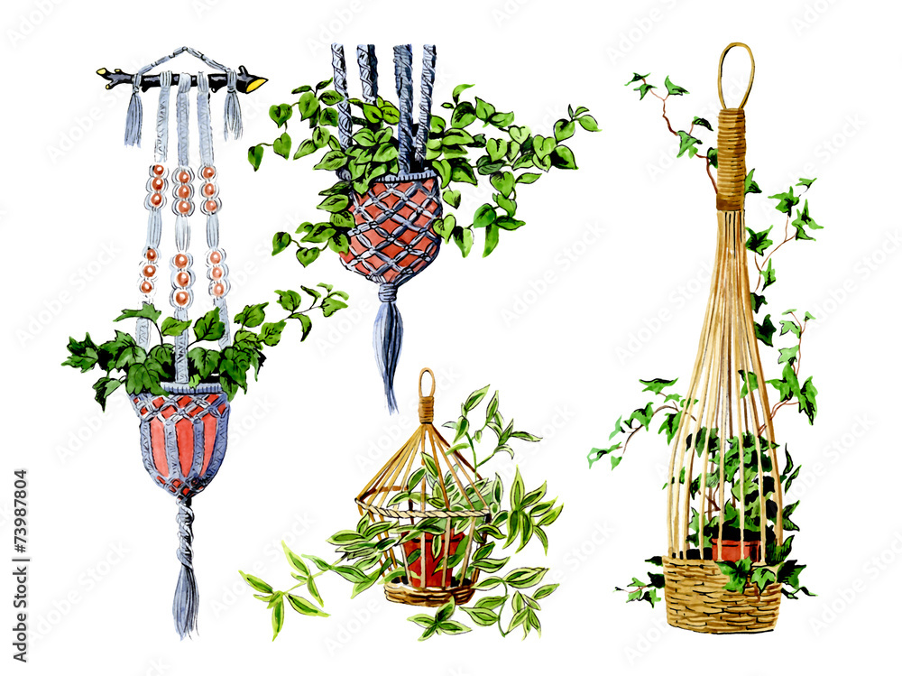 Basket mounting. Botany ilustración de Stock | Adobe Stock