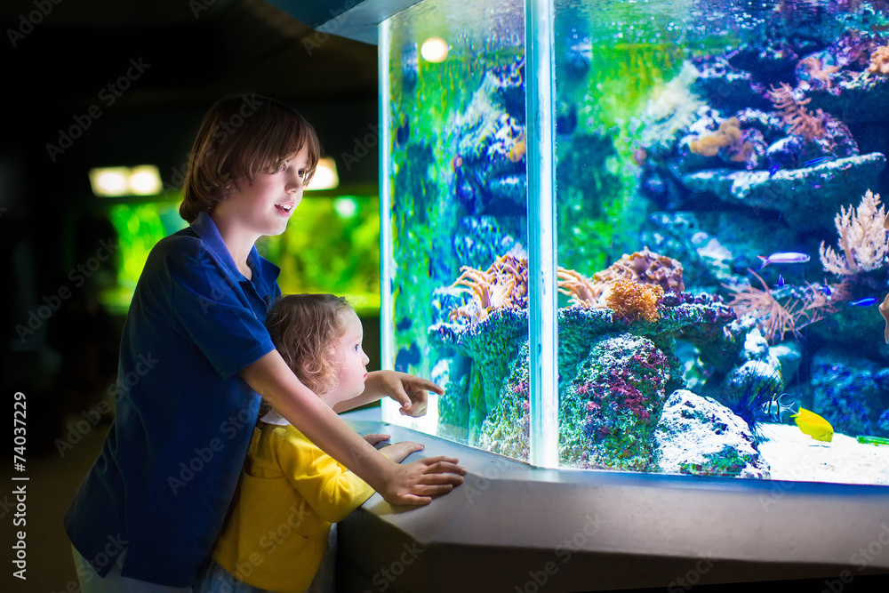 Kids watching fishes in aquarium Stock Photo | Adobe Stock