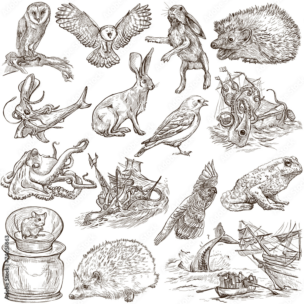 Animals around the world (set no.9) - Hand drawn illustrations Stock ...