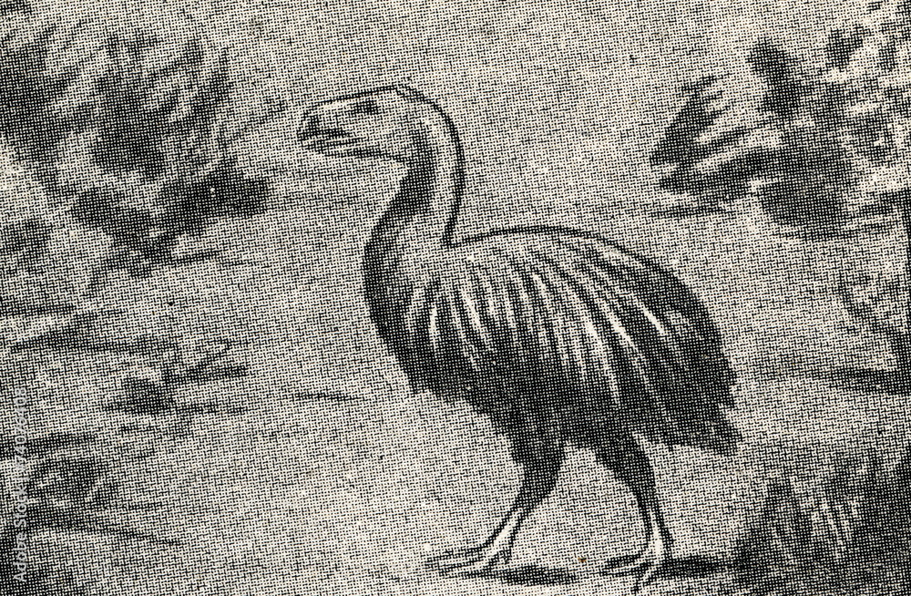 Life restoration of Gastornis giganteus, 1917 Stock Photo | Adobe Stock