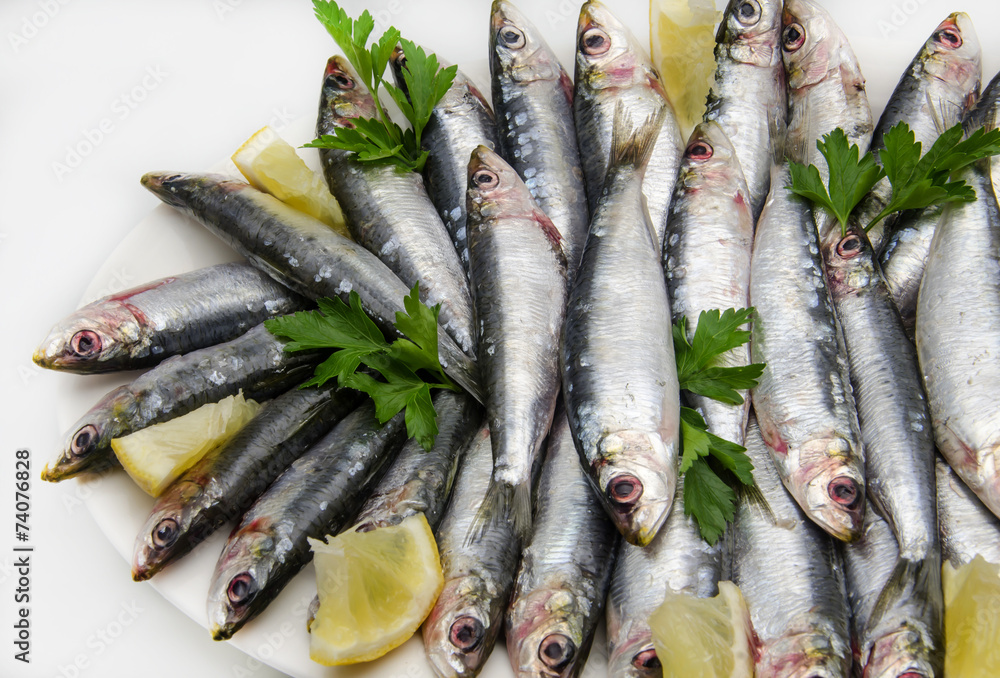 Sardinas frescas foto de Stock | Adobe Stock