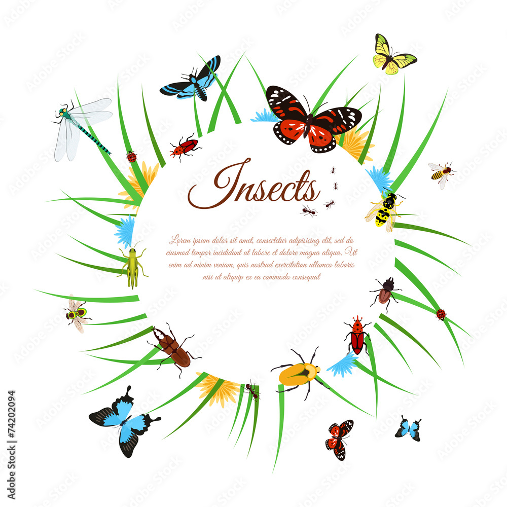 Insects Background Illustration Stock Vector | Adobe Stock