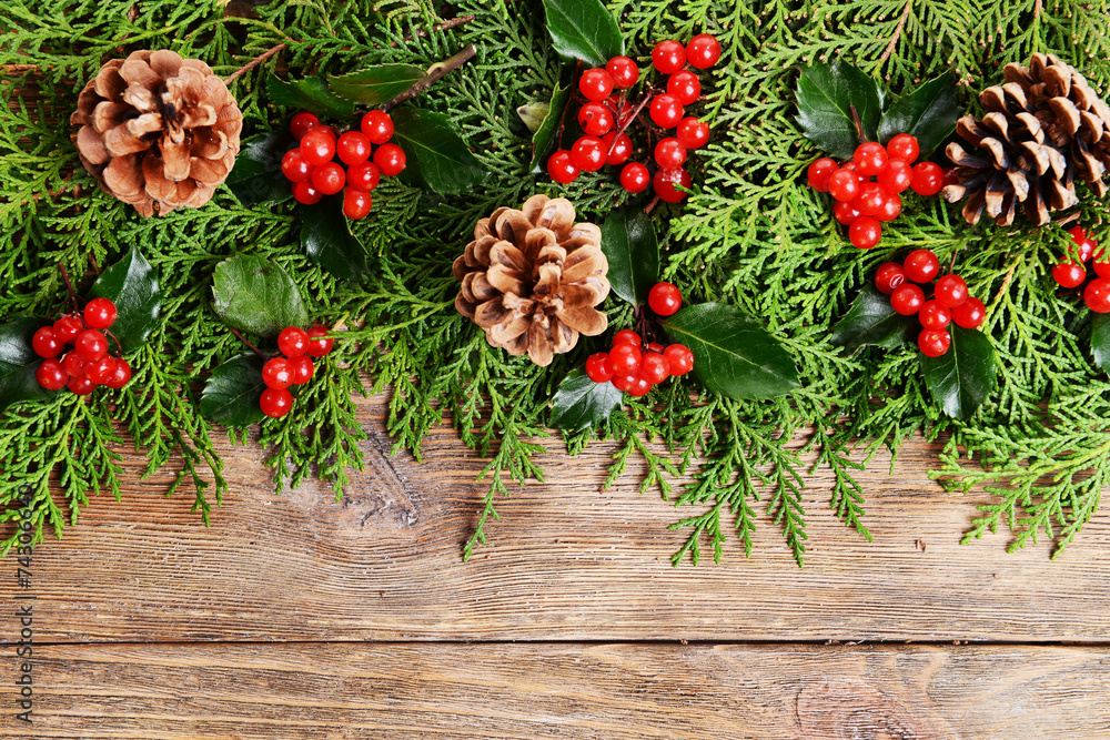 Christmas Mistletoe Border