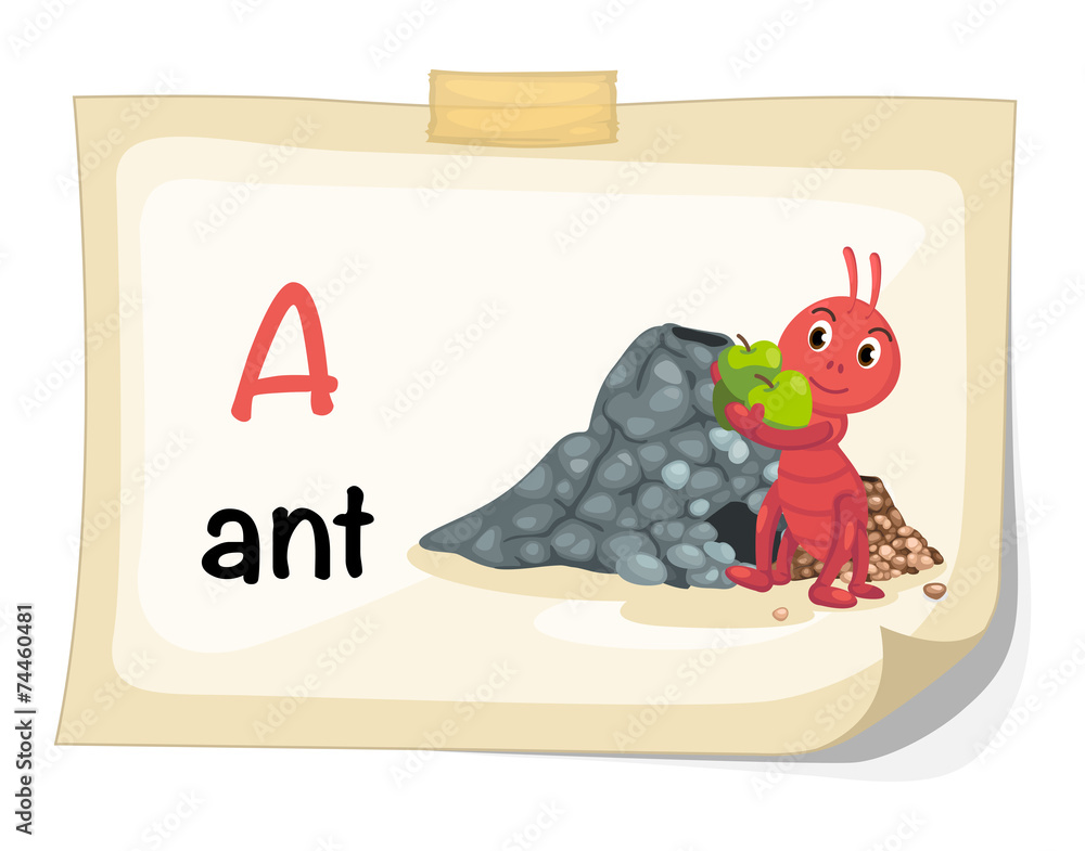 animal alphabet letter A for ant illustration vector Stock Vector ...