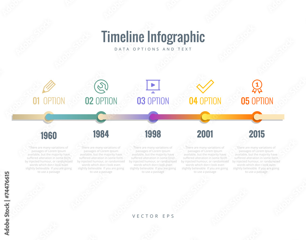 Timeline Infographic with diagrams, options and text Stock Vector ...