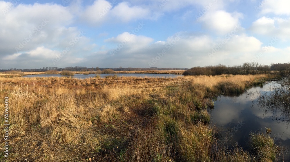 Panorama von einem Hochmoor Stock Photo | Adobe Stock