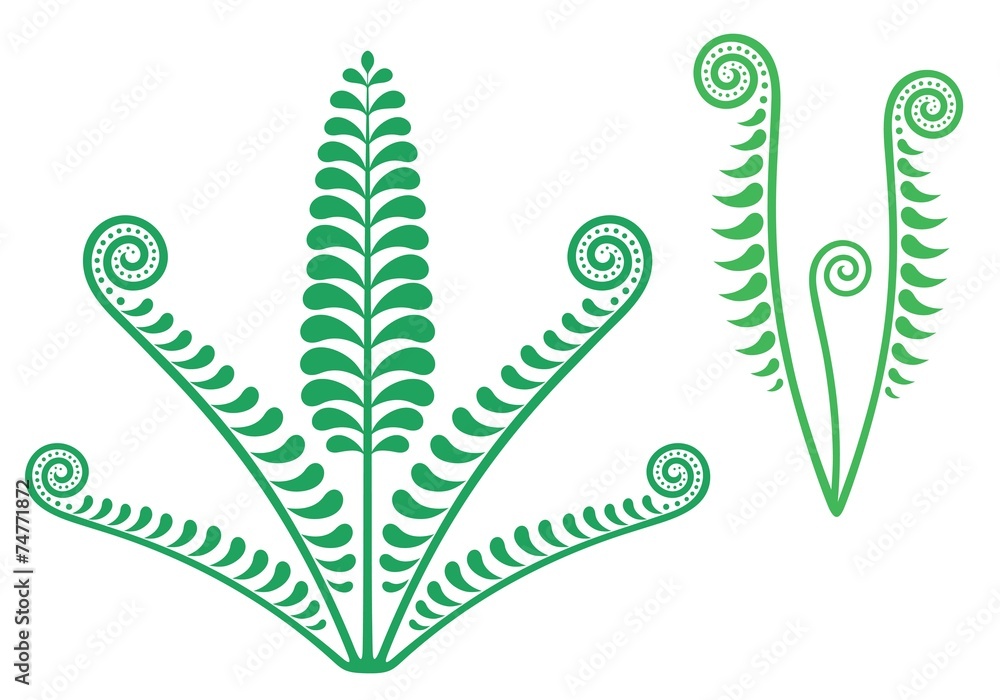 Fern Stock Vector | Adobe Stock