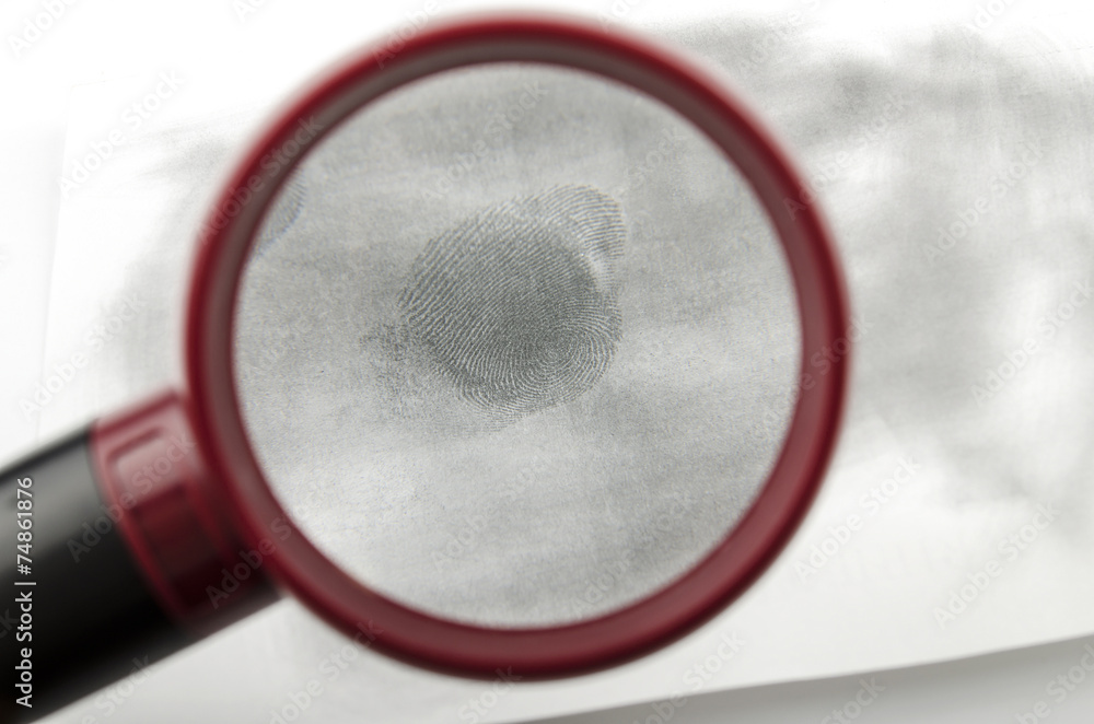 enlarged fingerprint detected on the subject Stock Photo | Adobe Stock