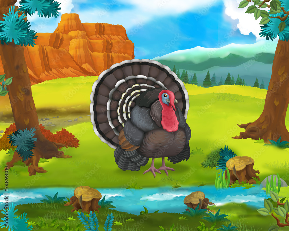 Cartoon scene - wild Asia animals - Caricature - turkey - illustration ...