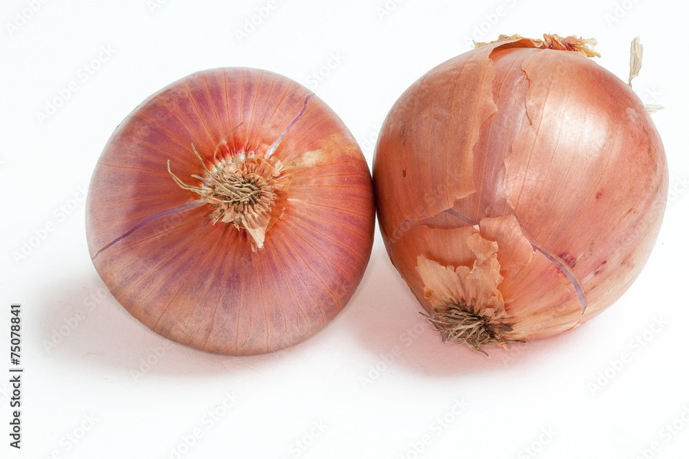 Oignons rosés de Roscoff - Allium cepa - sur fond blanc Stock Photo ...