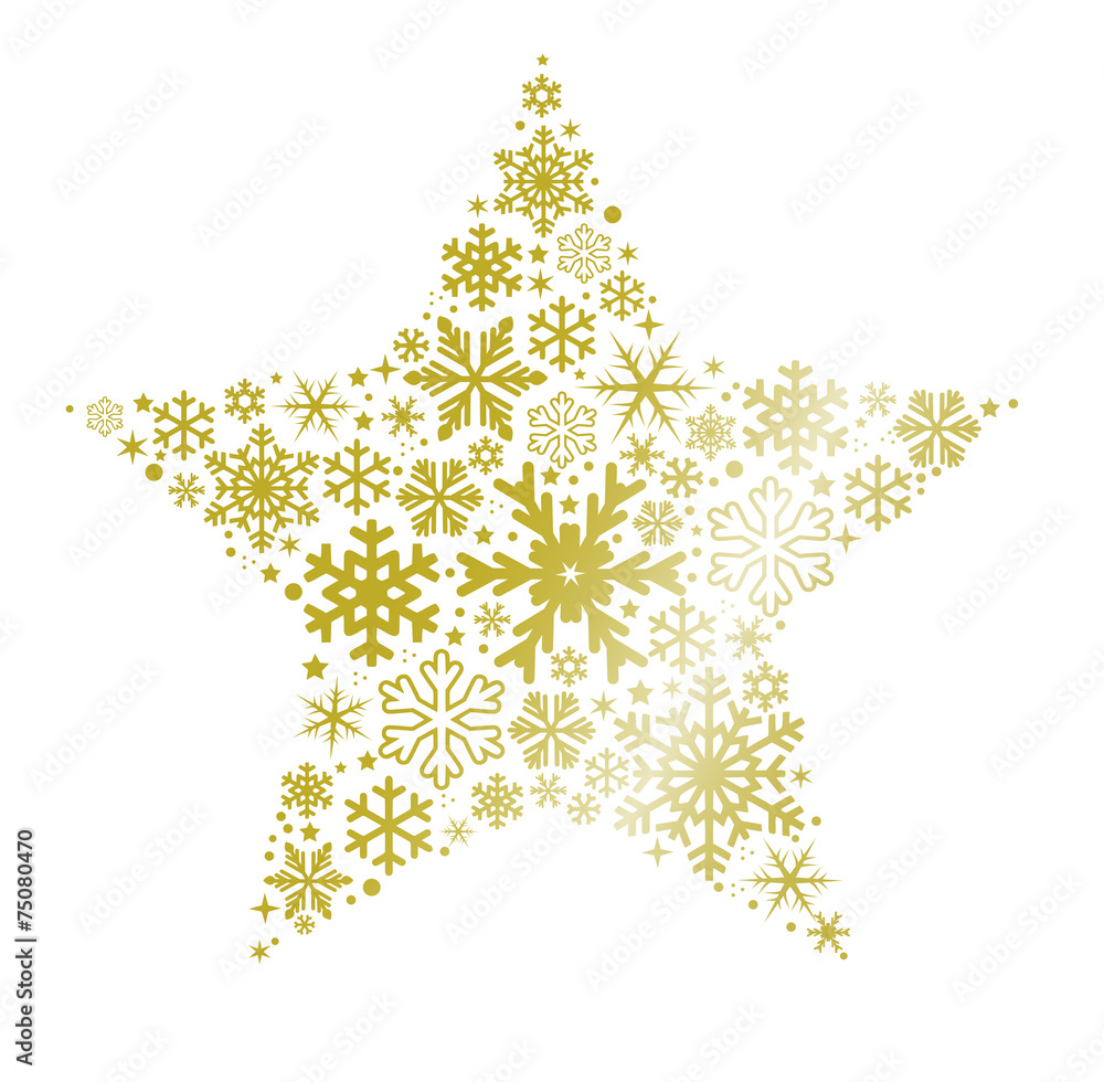 Star made of different shape snow flakes vector Stock Vector | Adobe Stock