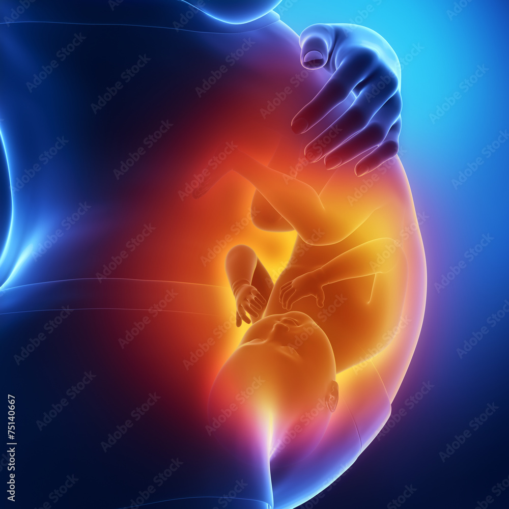 Pregnancy concept with blue woman and fetus Stock Illustration | Adobe ...